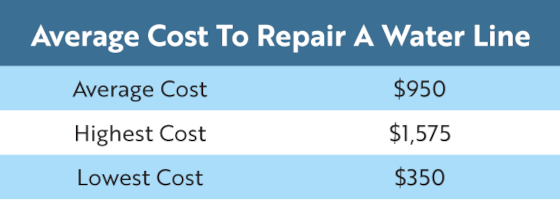 How Much Does Water Line Repair Cost?
